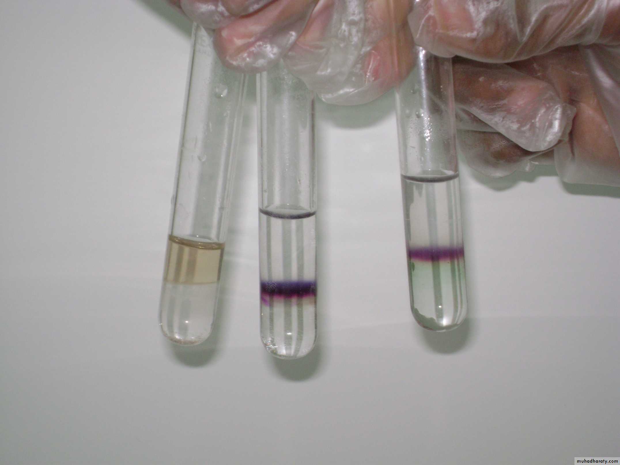 Labs Pptx Muhadharaty Labs Pptx Muhadharaty